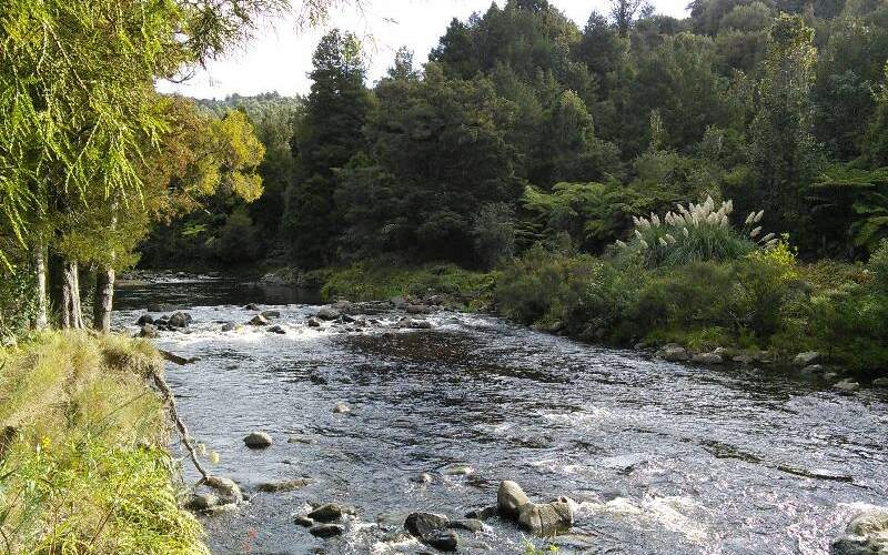 Dickey Flat Campsite | Freedom/Basic Camp | New Zealand